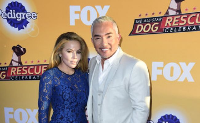 Story Of Jahira Dar! Bio, Husband, Networth - Biografía, Patrimonio ...