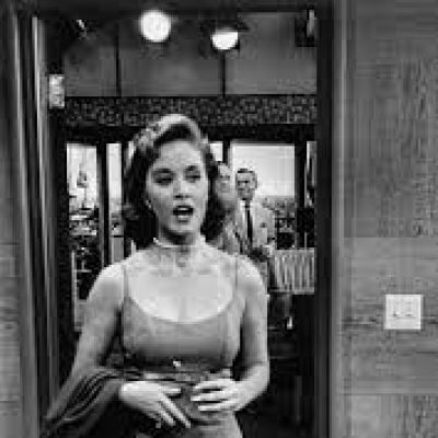 Lisa Davis Waltz - Biografía, Patrimonio, Edad, Peso, Altura, Relaciones